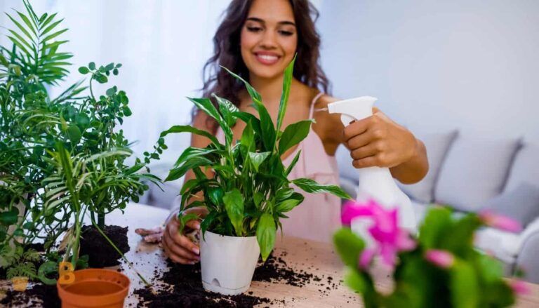 Houseplant Happiness! A Guide On How To Clean Plant Leaves Effectively.