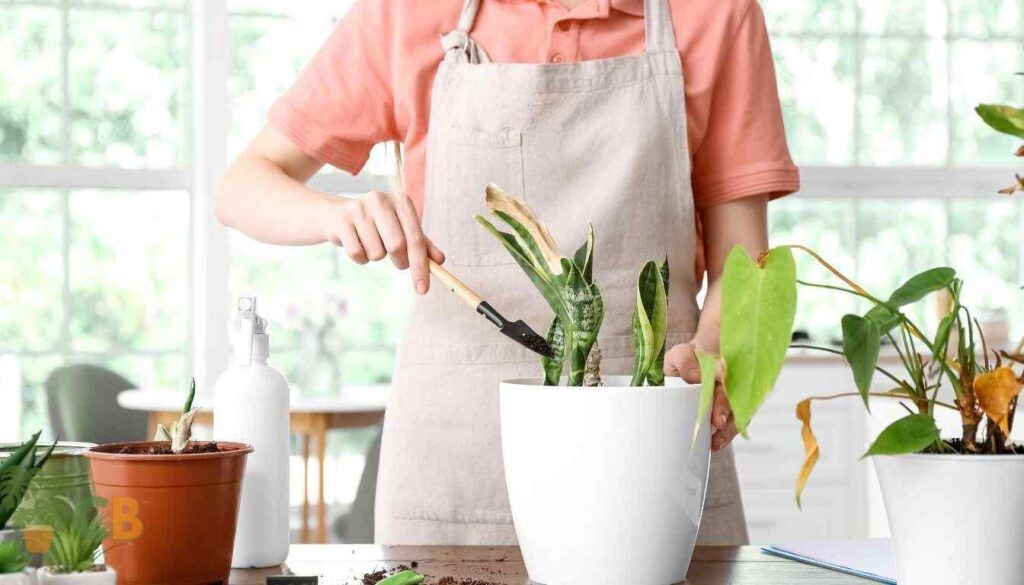 Why Are My Plants Drooping And Wilting? A Quick Guide To Saving Your ...