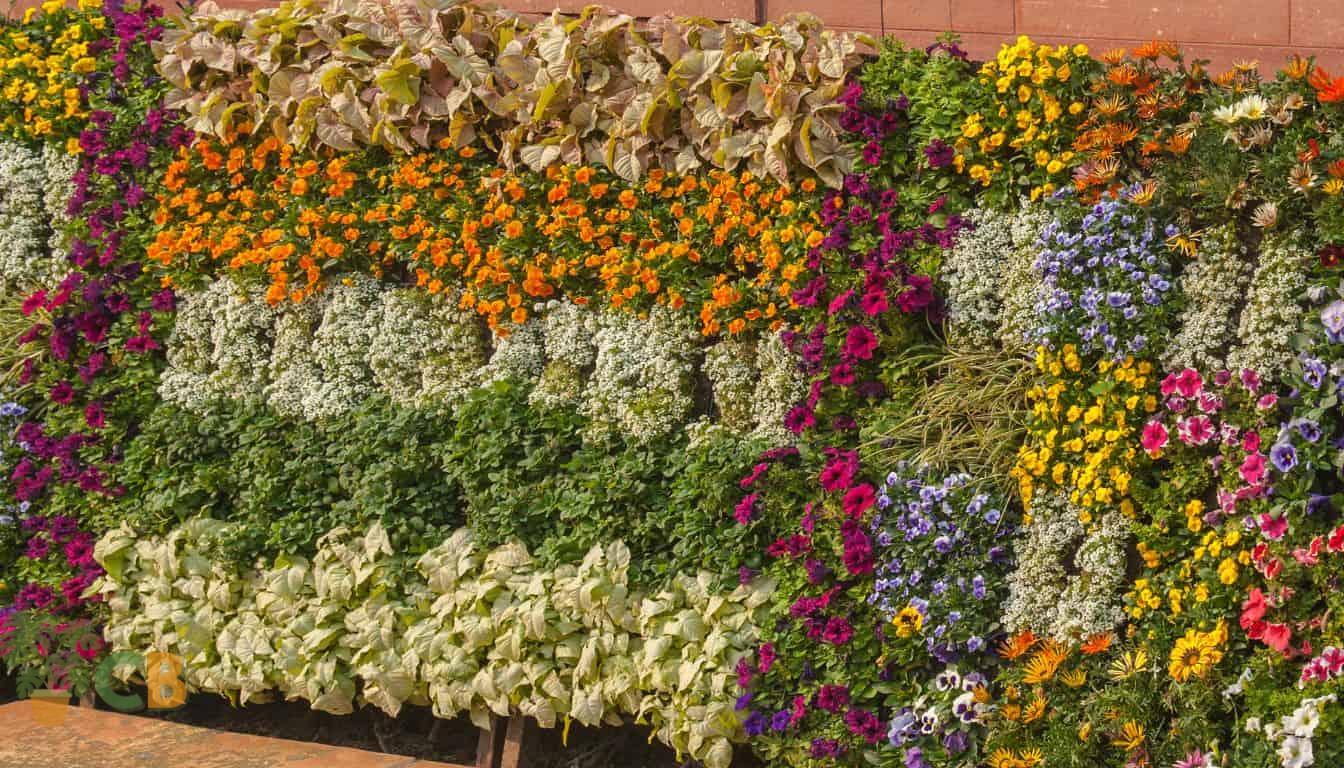 Balcony Container Gardening: Ideas For Small Space Balcony Gardens