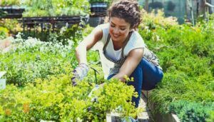 How To Make Plants Grow Faster With These Easy Tips