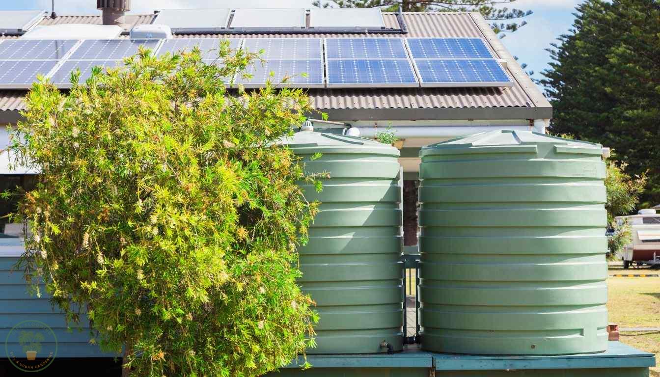 Rainwater Harvesting: My Guide To Water Conservation